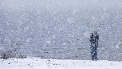 BIJ12 vernieuwt kennisdocument over Huismus | Sovon